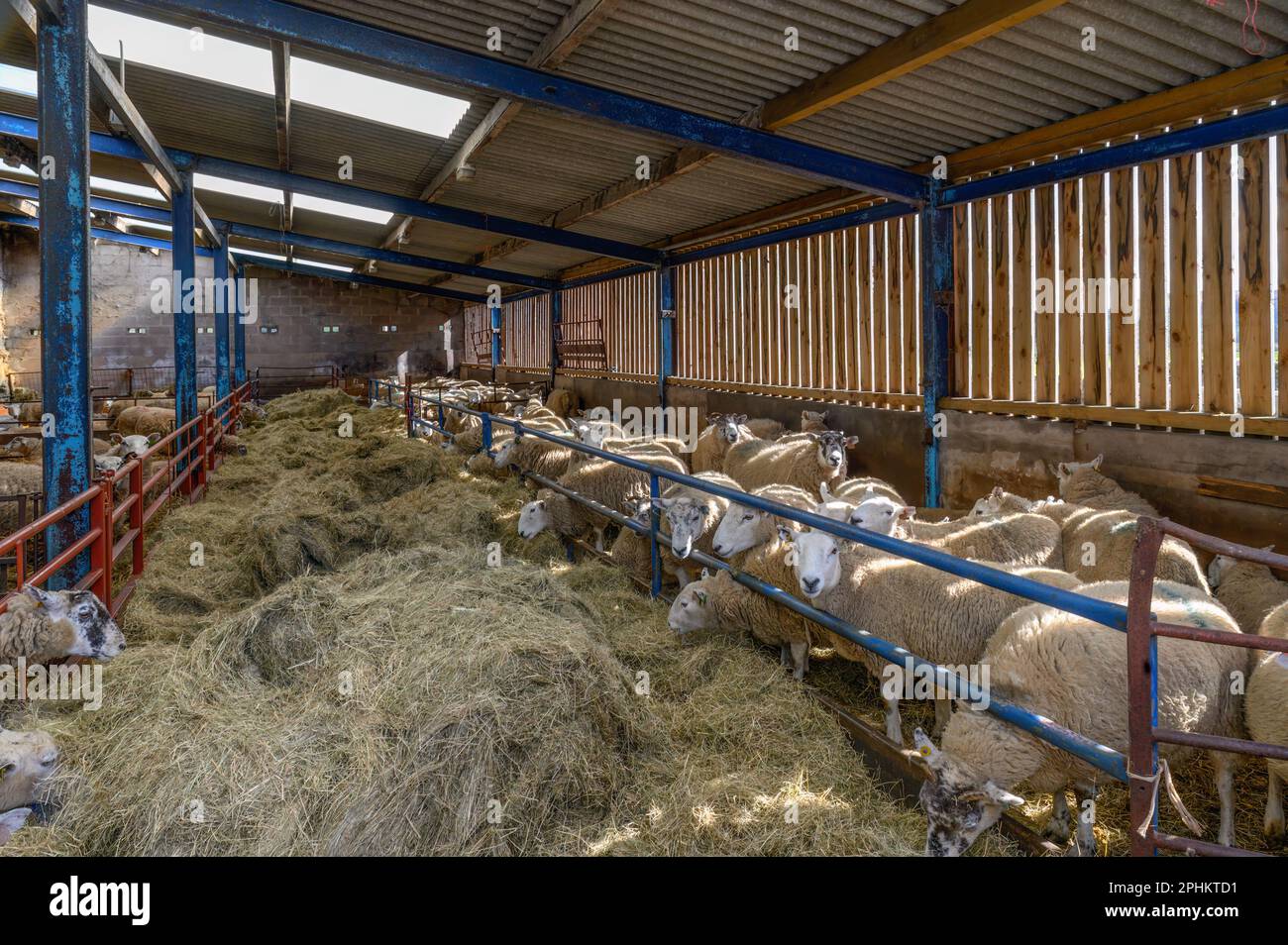 The Lambing Shed at Kentmere Hall in Cumbria Stock Photo - Alamy