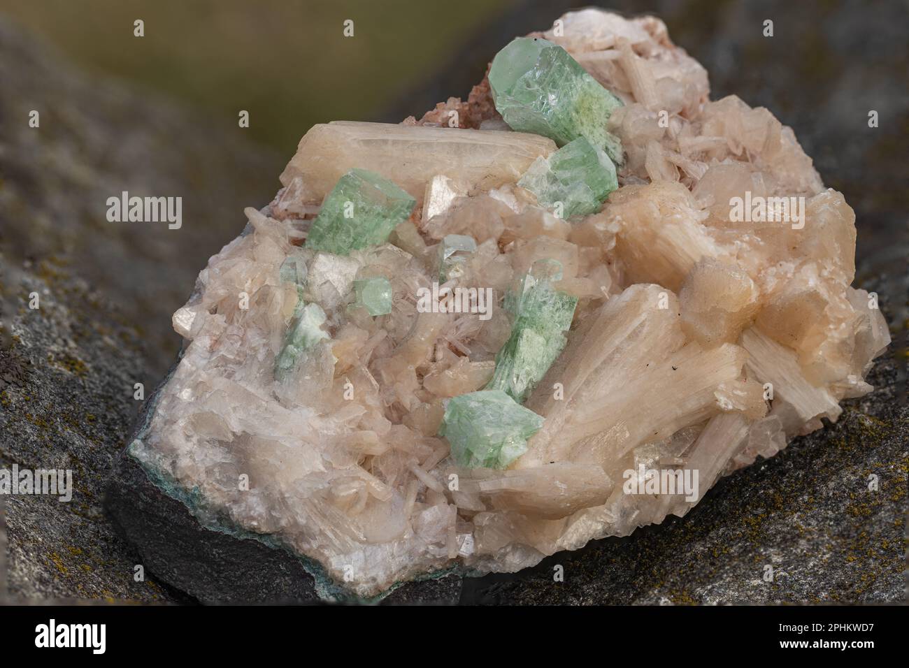 mineral specimen of apophyllite and stilbite Stock Photo - Alamy