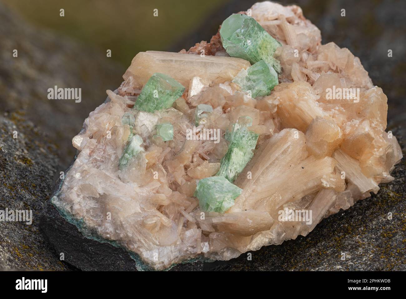 mineral specimen of apophyllite and stilbite Stock Photo - Alamy