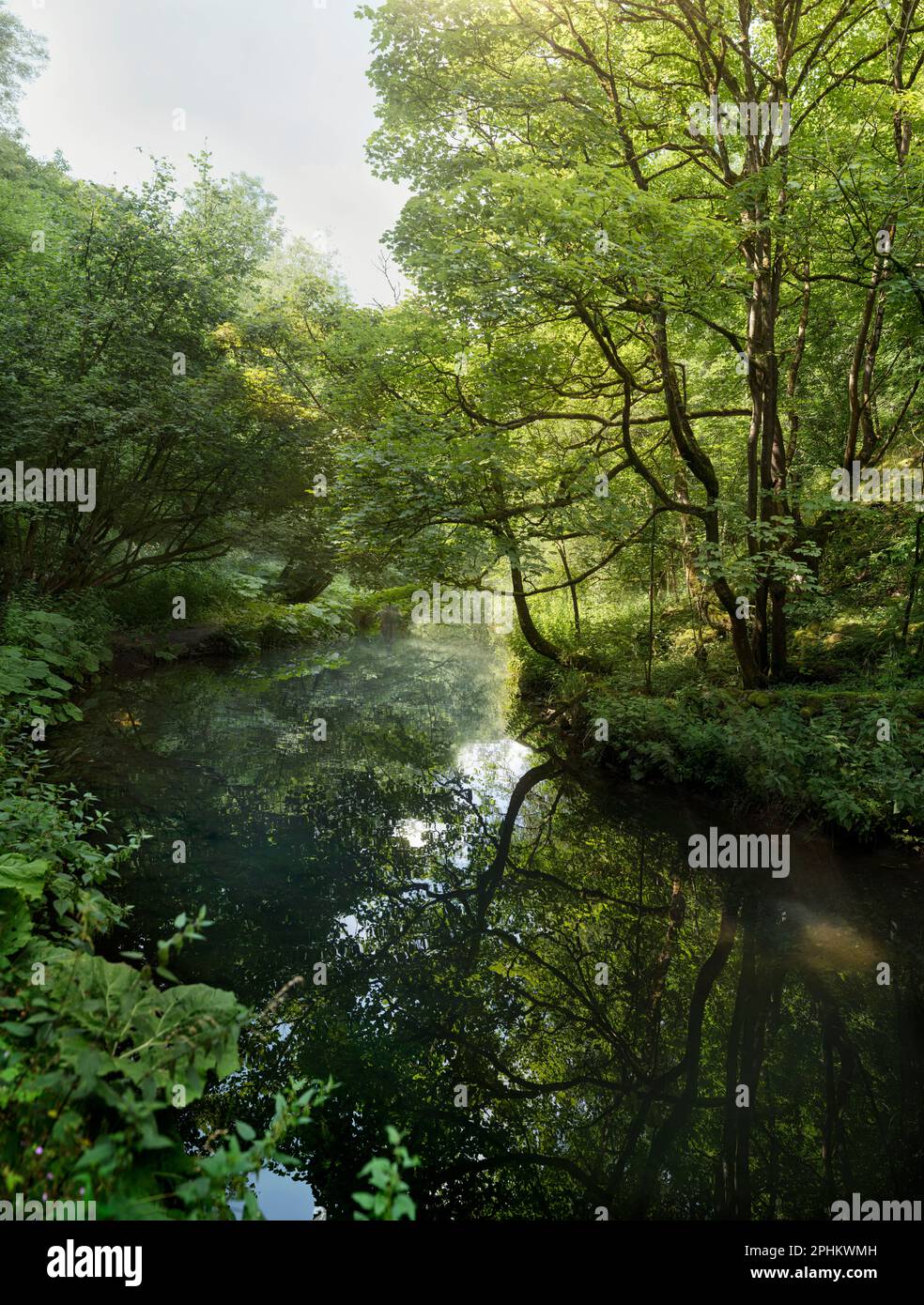 Bend on the River Wye between Buxton and Bakewell. Trees by the water ...