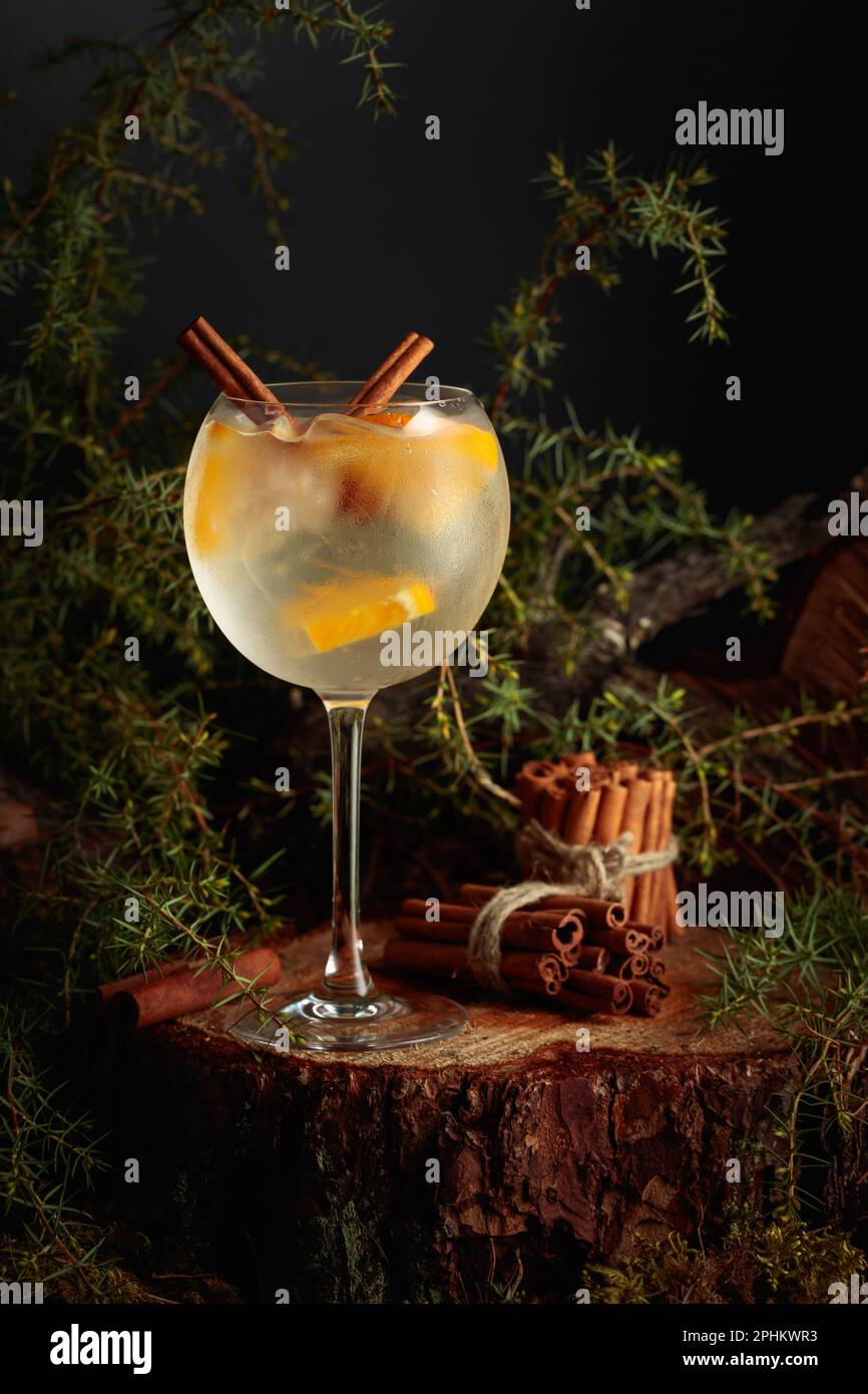 Gin and Tonic cocktail with orange and cinnamon. An iced refreshing ...