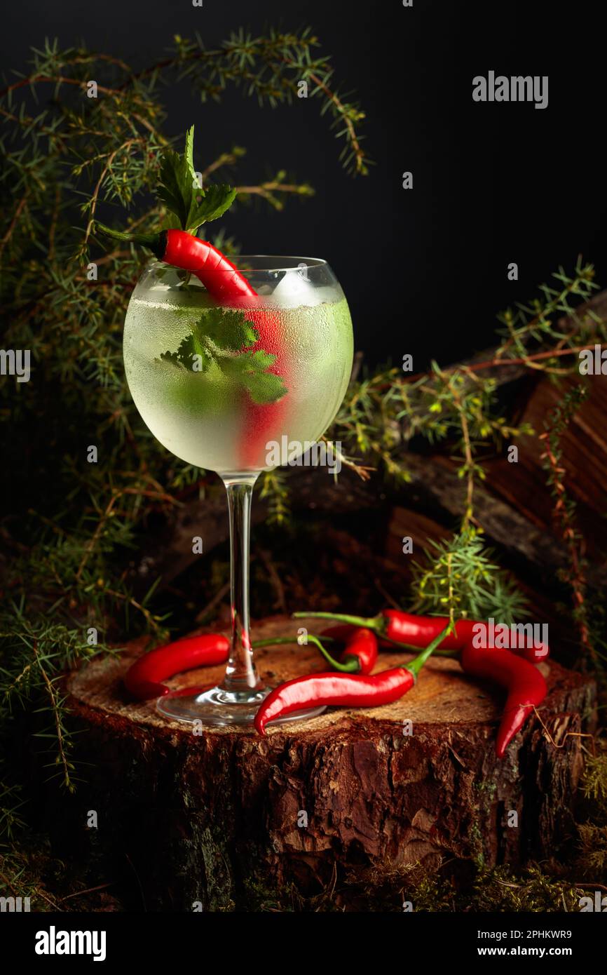 Gin and Tonic cocktail with red pepper and coriander. An iced ...