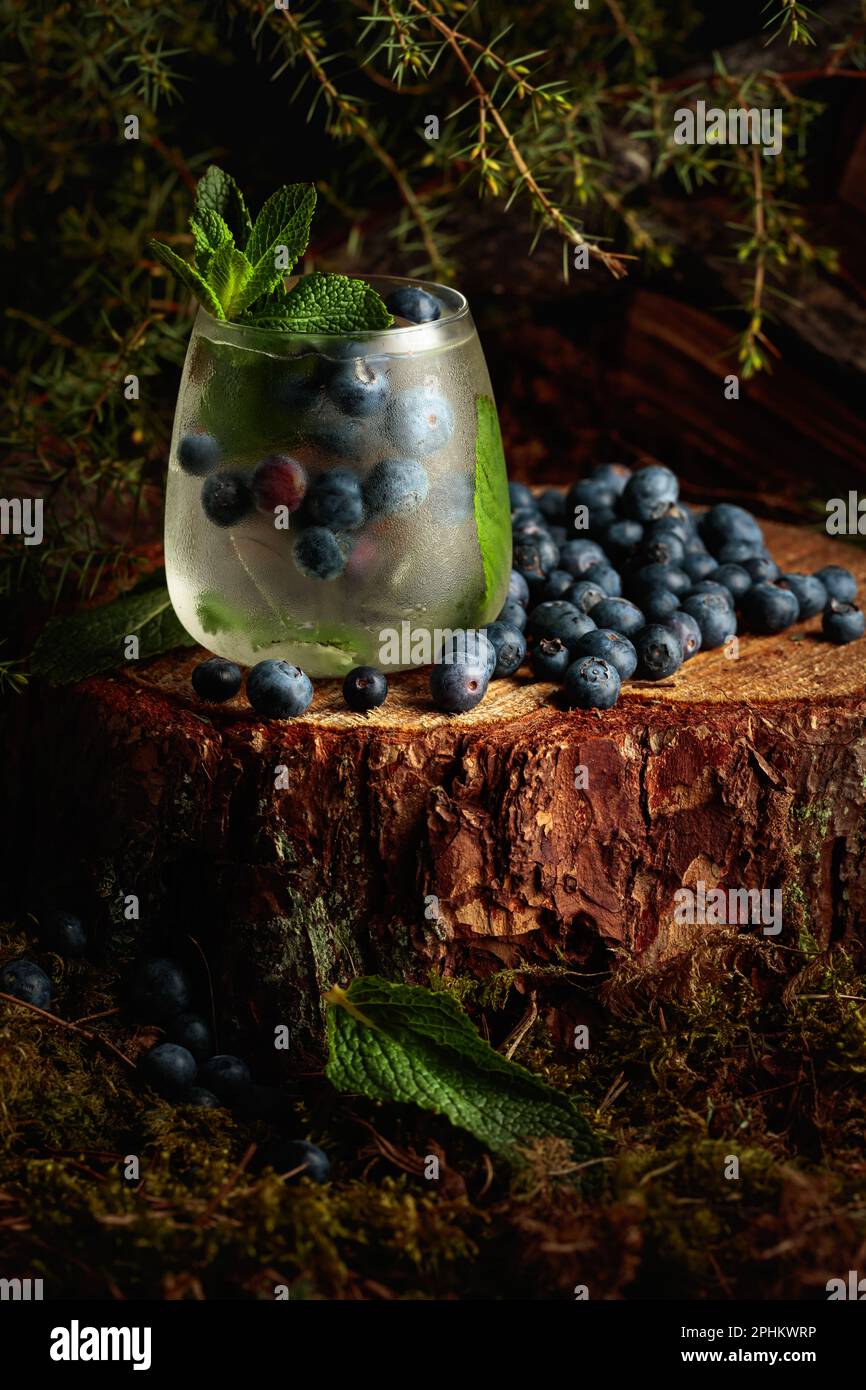 Gin and Tonic cocktail with blueberries and mint. An iced refreshing ...