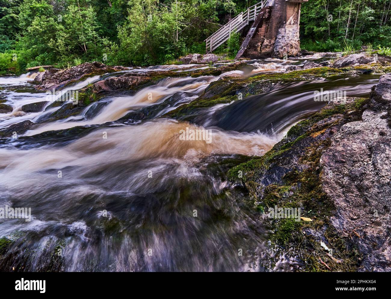 A scenic view of a river winding its way through a lush green forest ...