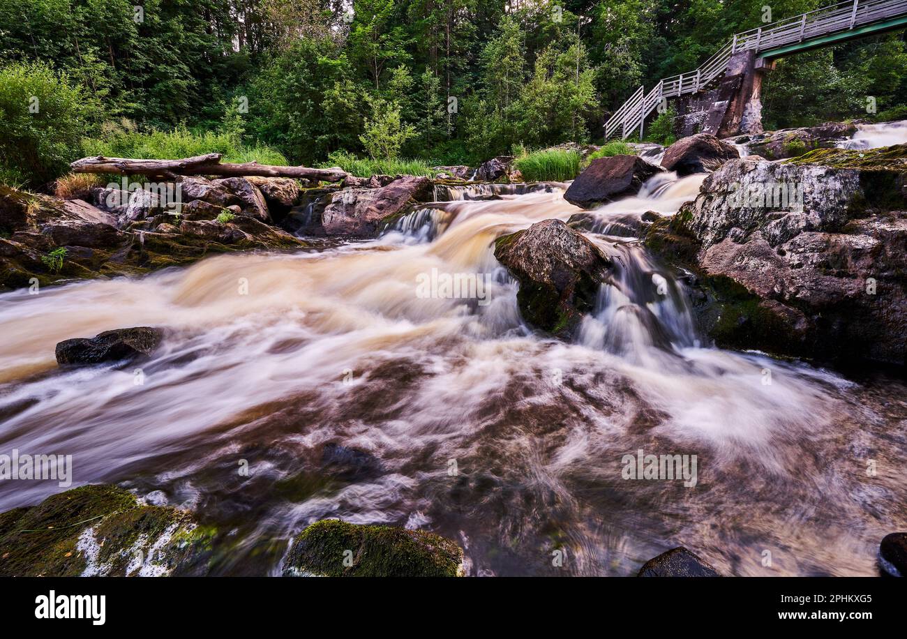 A scenic view of a river winding its way through a lush green forest ...