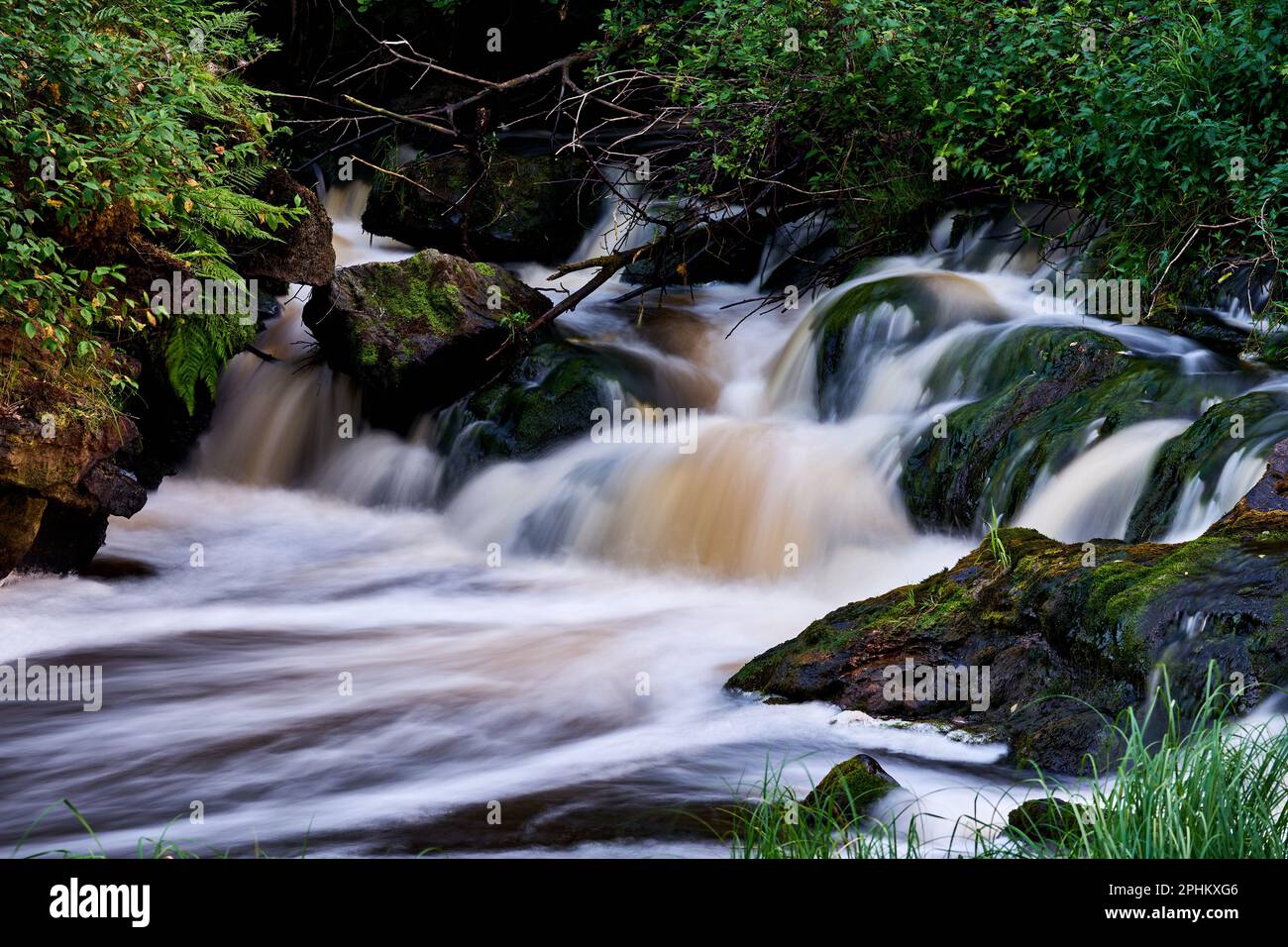A scenic view of a river winding its way through a lush green forest ...