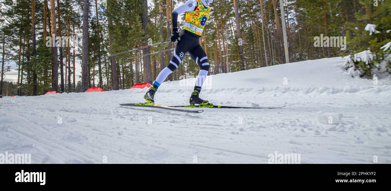 male athlete running in cross-country skiing, Fischer racing skis ...