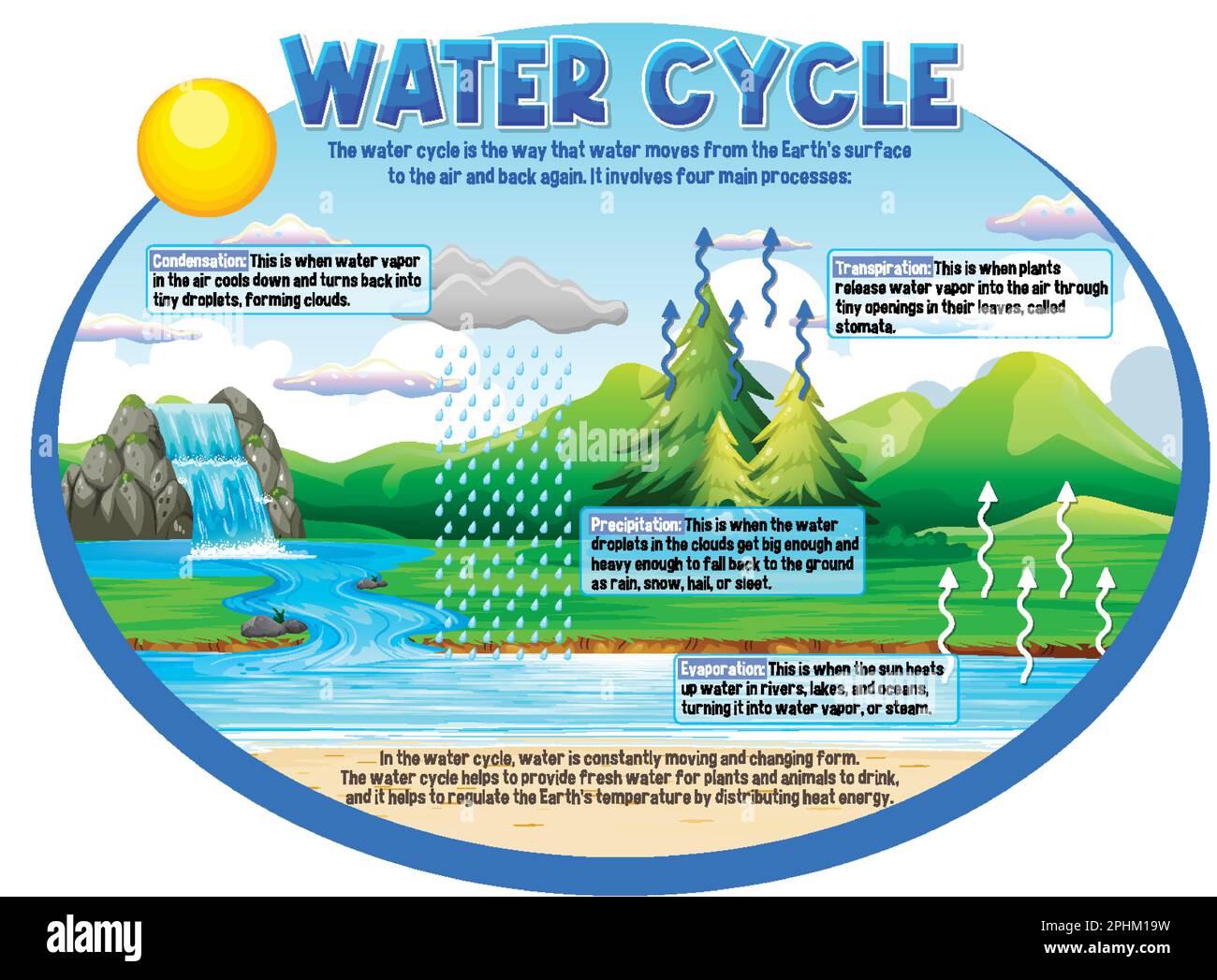 Water Cycle for Science Education illustration Stock Vector Image & Art ...