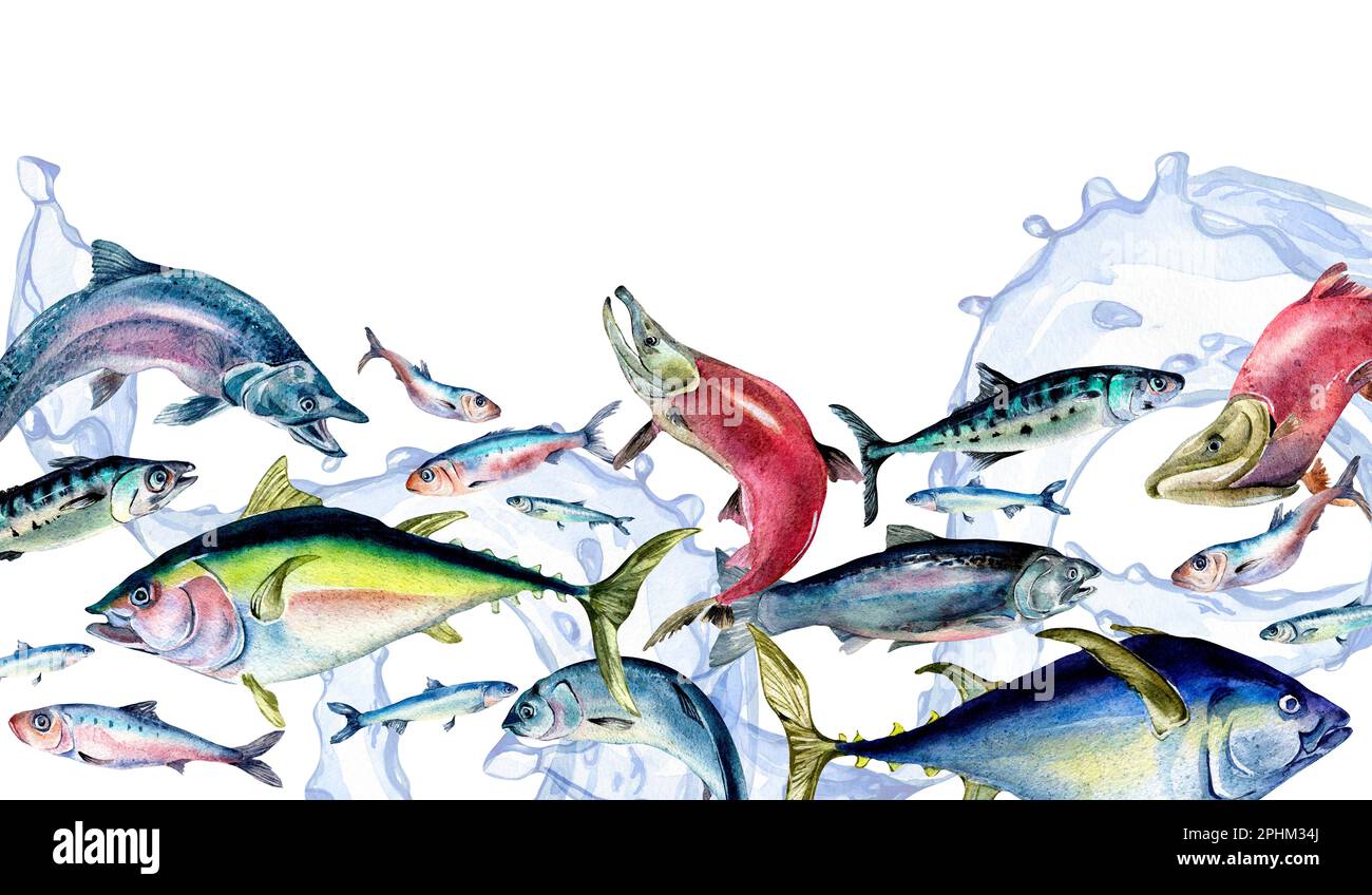 Banner of various sea fish and sea wave watercolor illustration ...