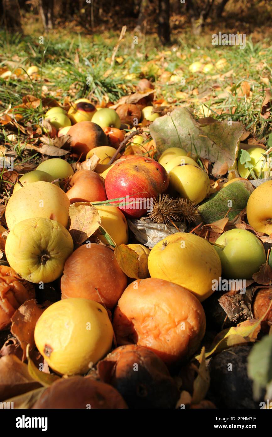 No one asked hi-res stock photography and images - Alamy