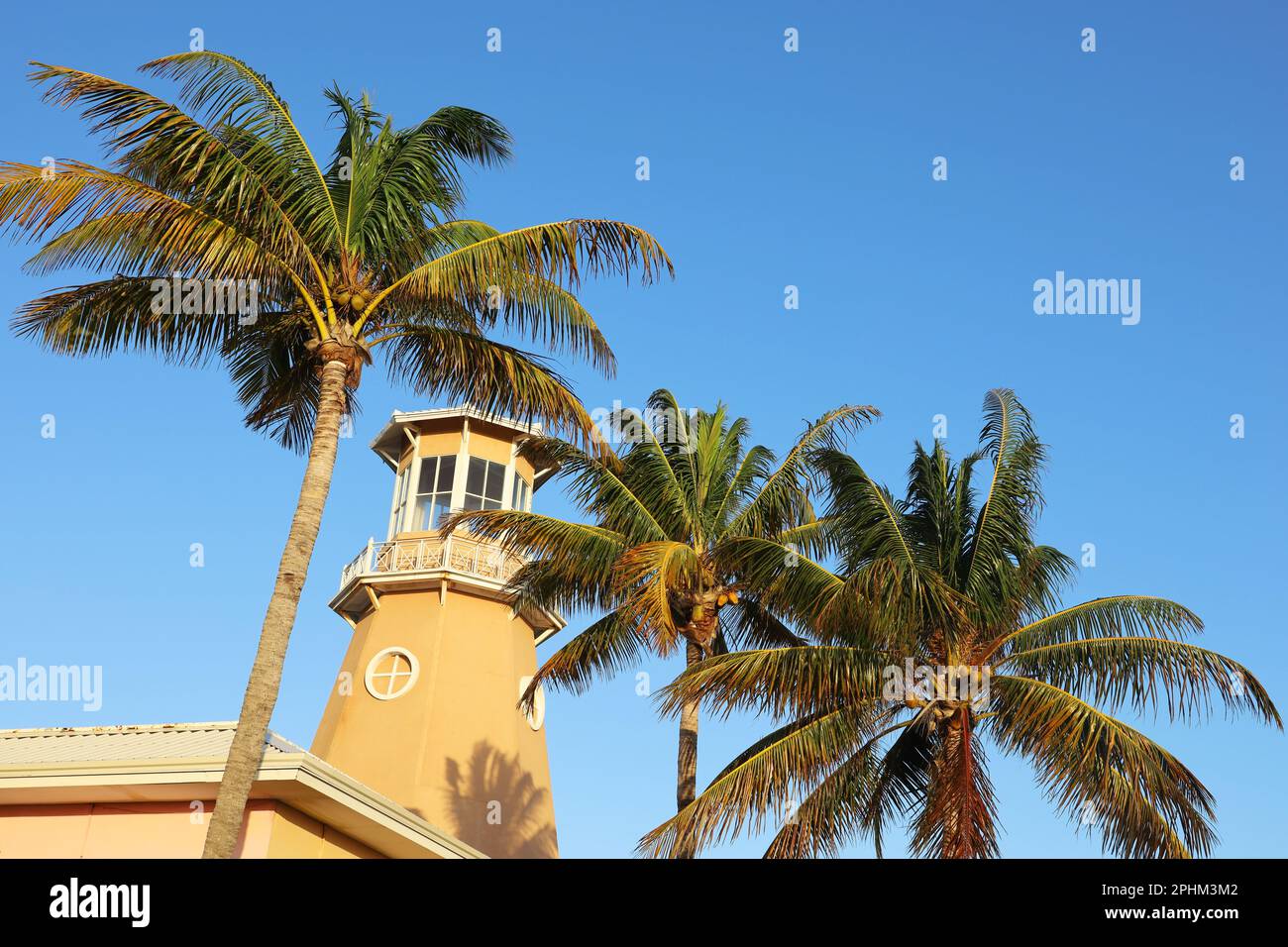 Clear blue sky with palm trees on beach hi-res stock photography and ...