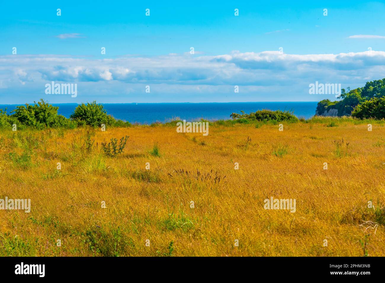 landscape of Stevns Klint in Denmark Stock Photo - Alamy