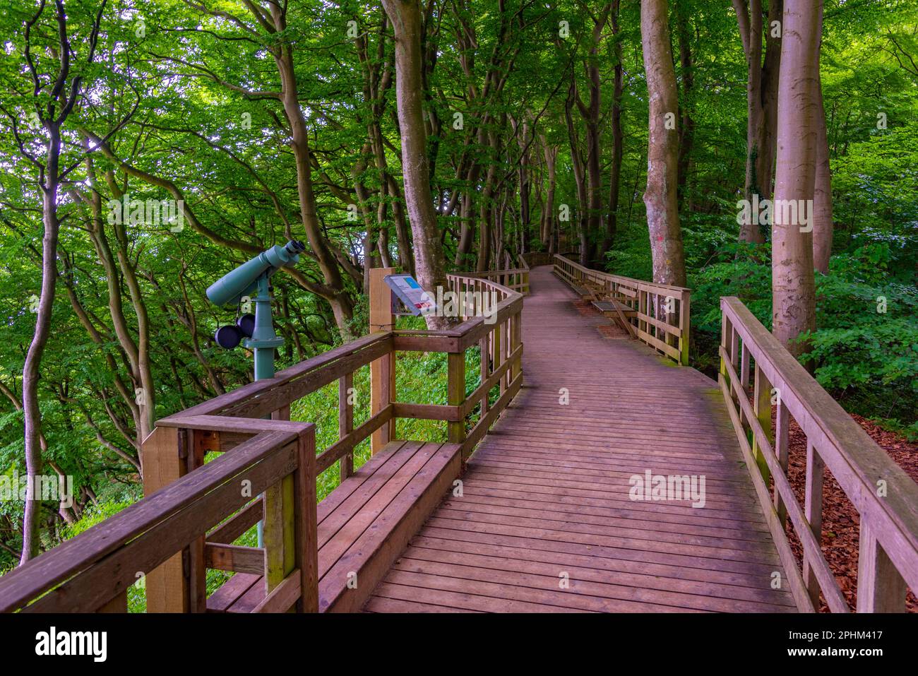 Hiking trail at MГёns Klint white cliffs in Denmark Stock Photo - Alamy