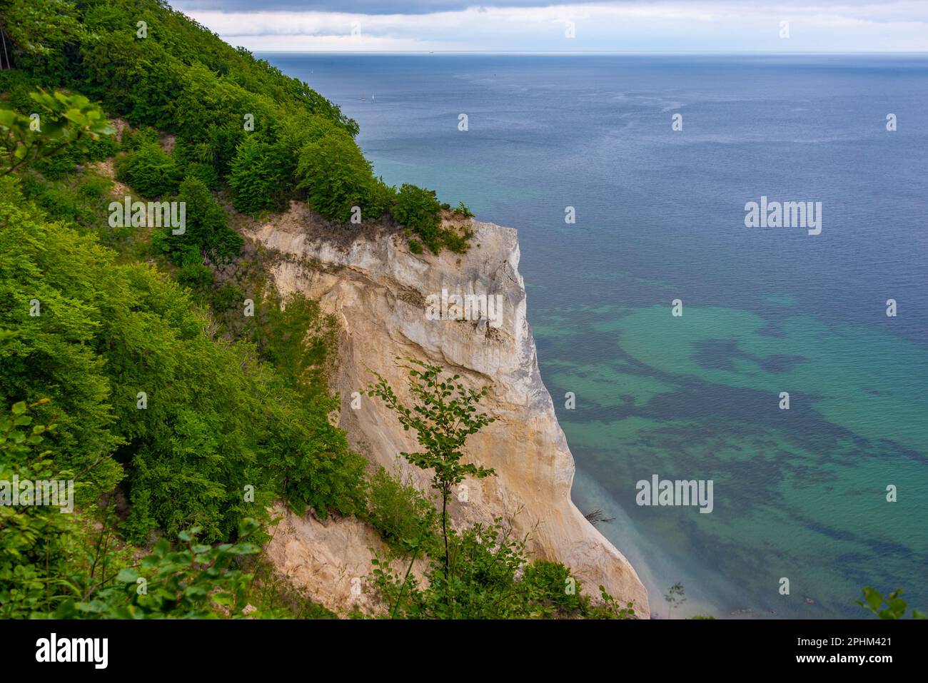 Möns Klint white cliffs in Denmark Stock Photo - Alamy