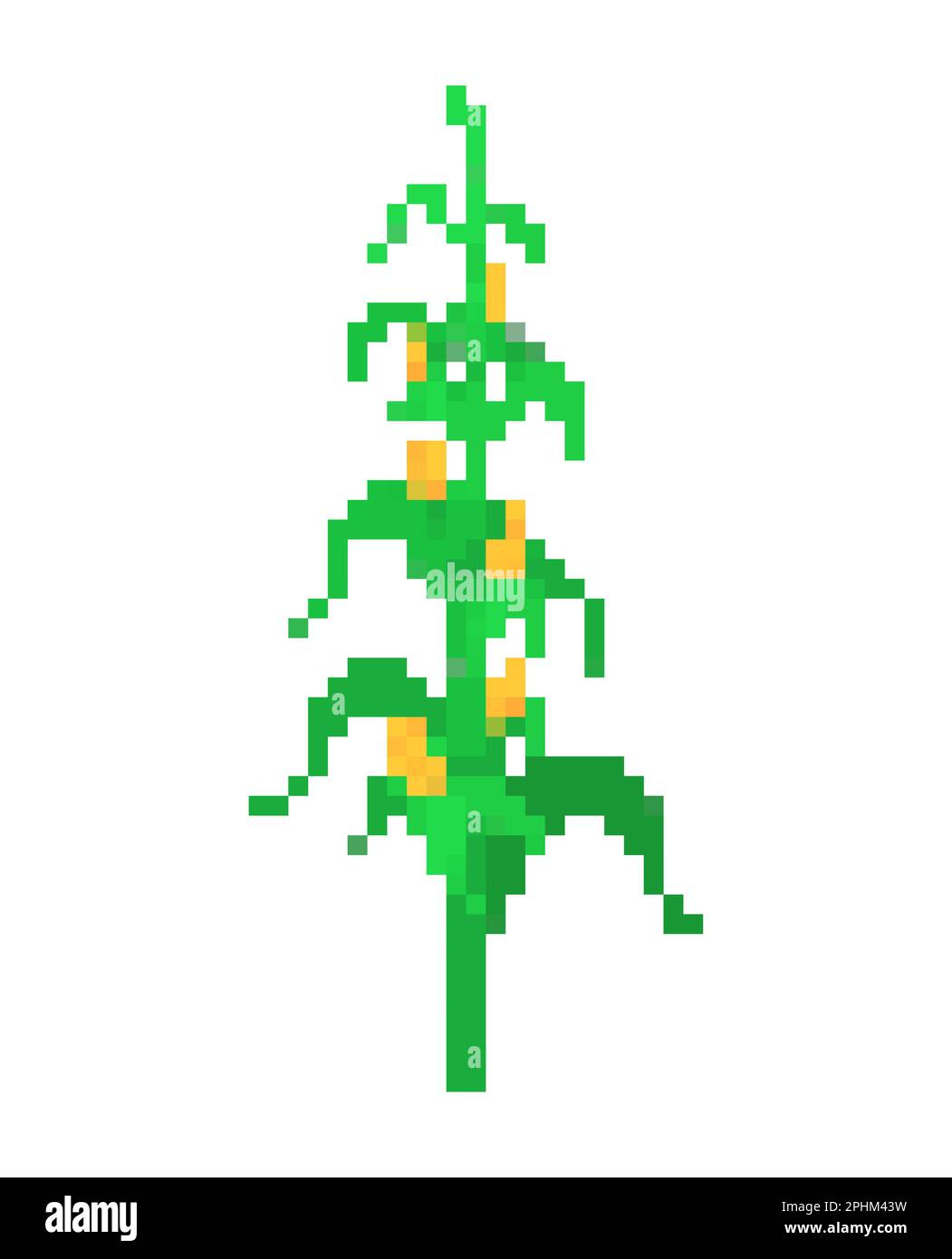 Corn bush pixel art. 8 bit Vector illustration Stock Vector Image & Art ...