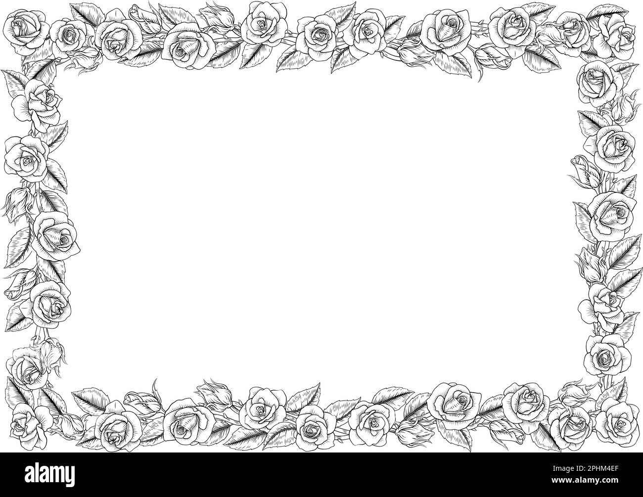 Roses Rose Flower Border Flowers Vintage Frame Stock Vector Image & Art ...