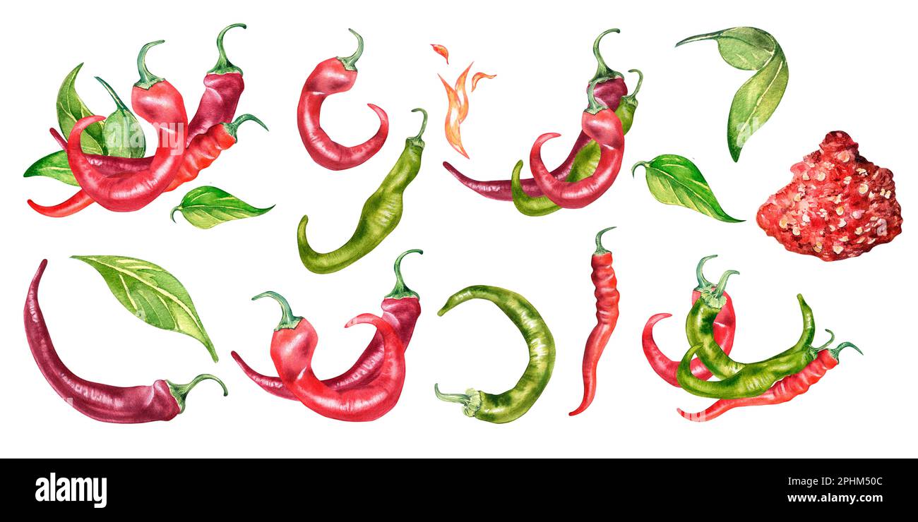 Set of red, green chili peppers watercolor illustration isolated on ...