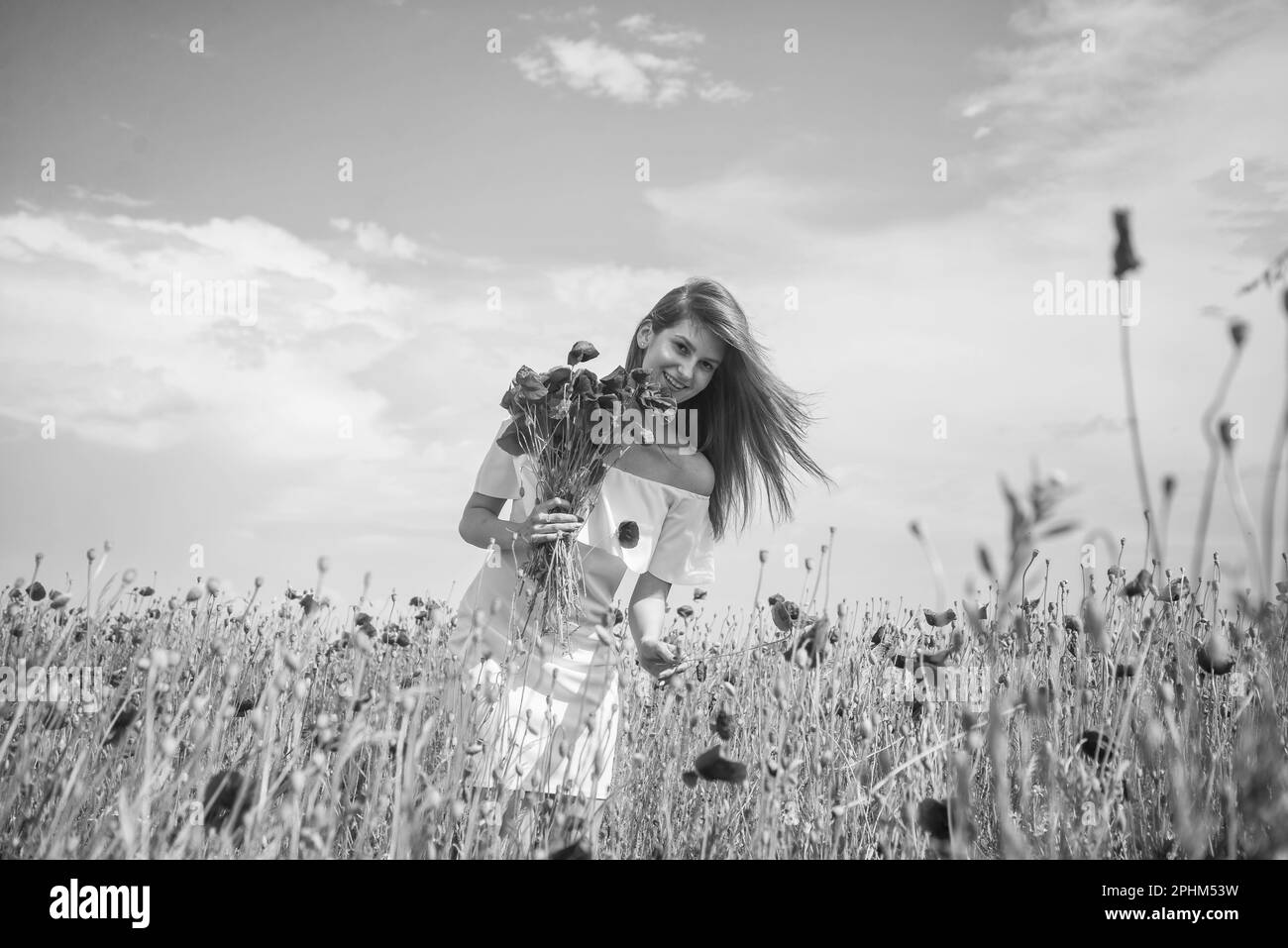summer flower meadow. beautiful lady among poppies. opium. happy girl ...