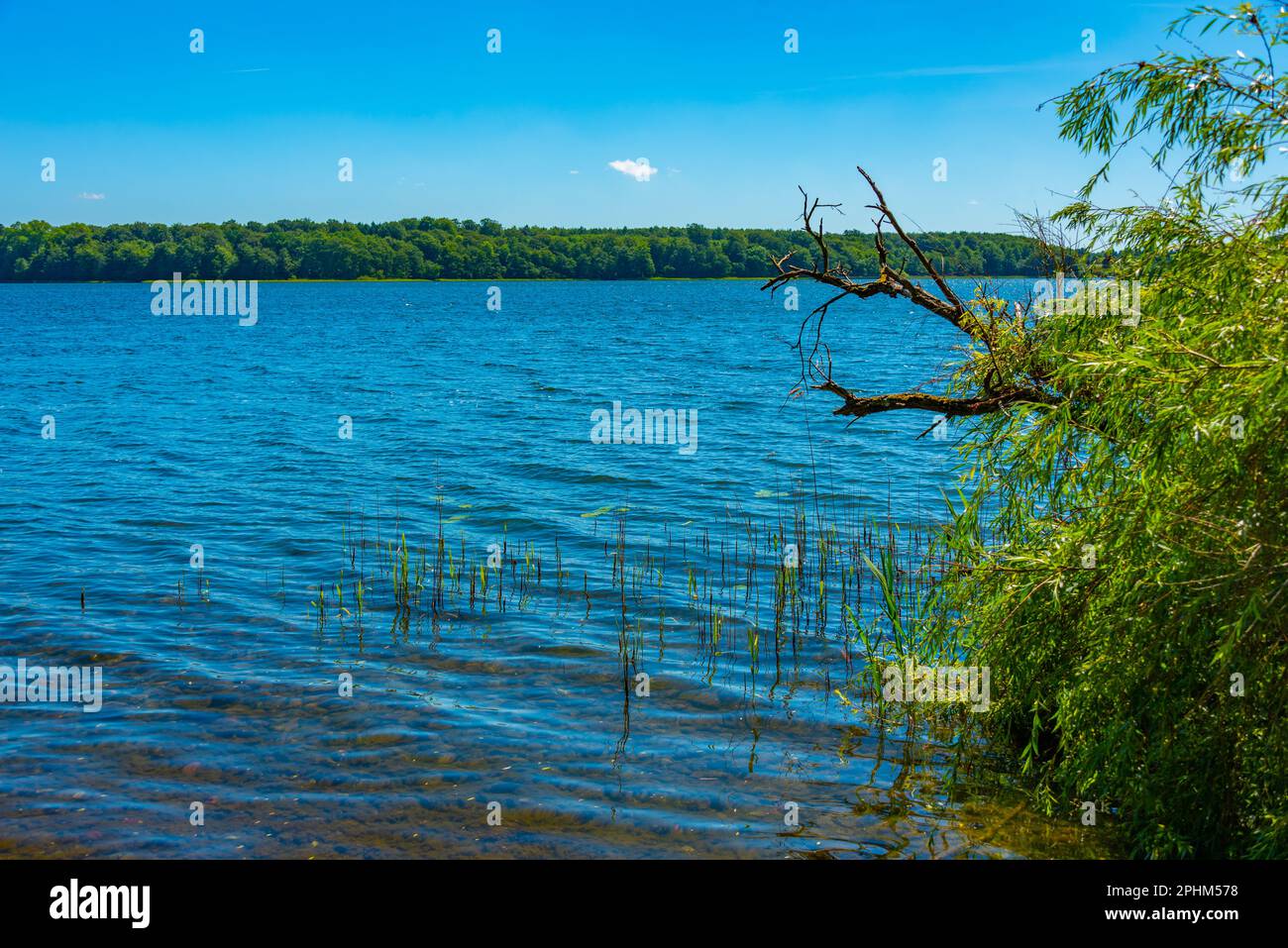 Landscape of Soro lake in Denmark Stock Photo - Alamy