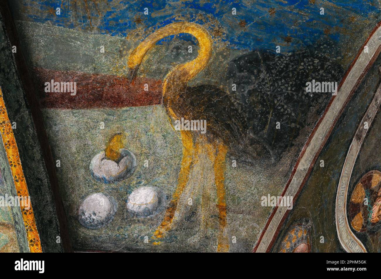 Mother ostrich watches as her eggs start to hatch in the sun, a ...