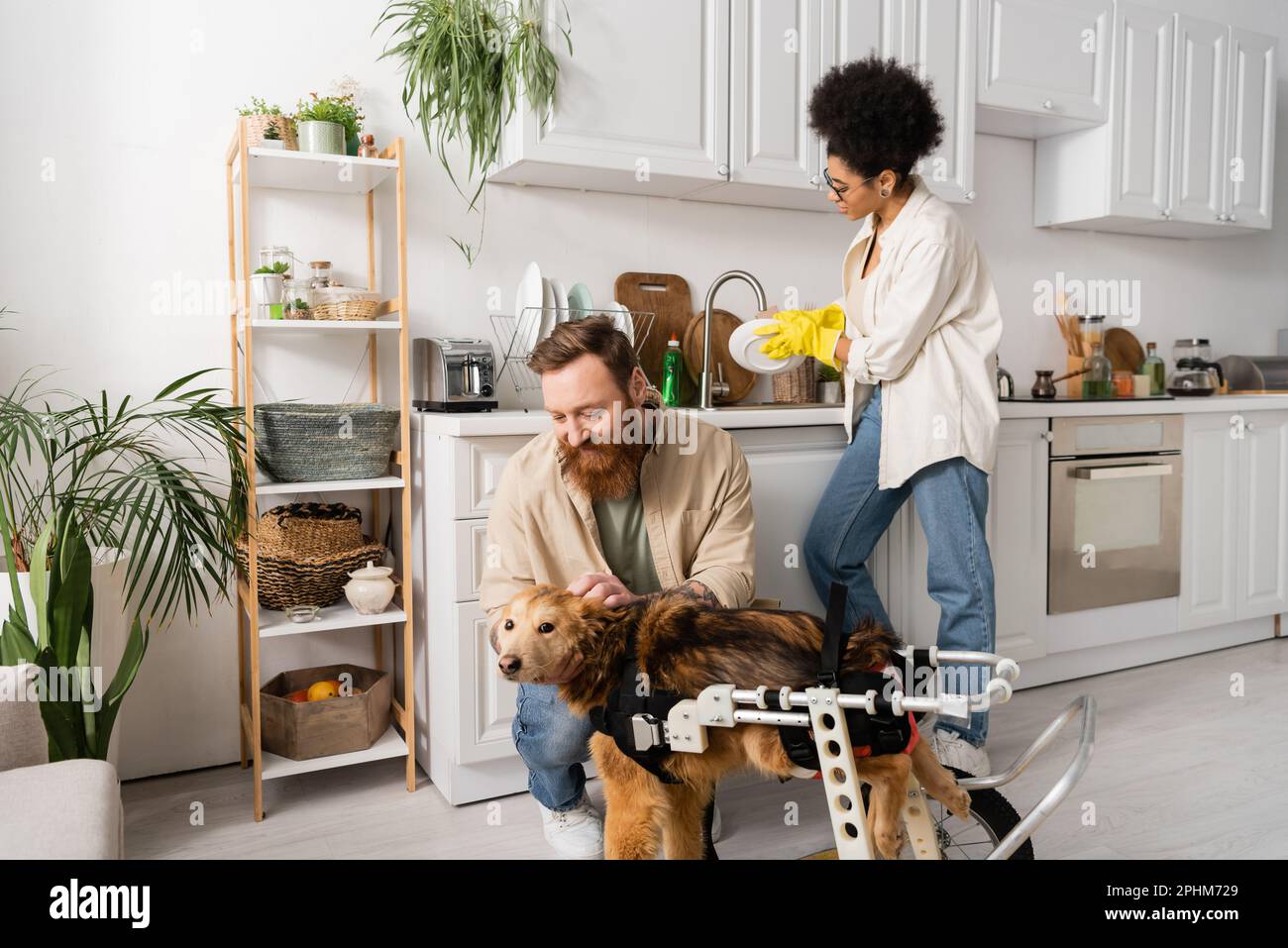 Man washing dog hi-res stock photography and images - Alamy