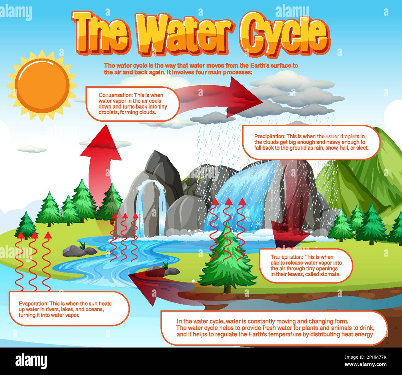 Water Cycle Diagram And Explanation Water Cycle Diagram And Explanation