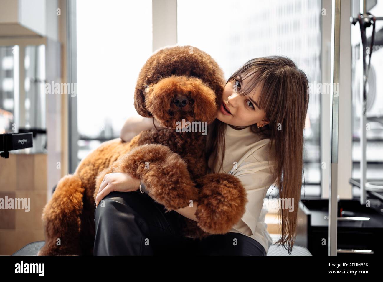 A young woman hugs a big dog. Dog and human friendship Stock Photo - Alamy