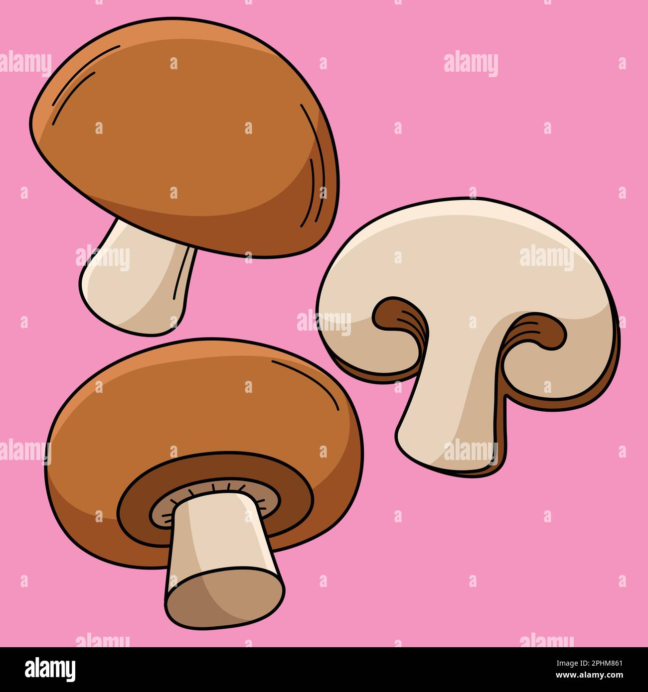 Mushroom Vegetable Colored Cartoon Illustration Stock Vector Image ...