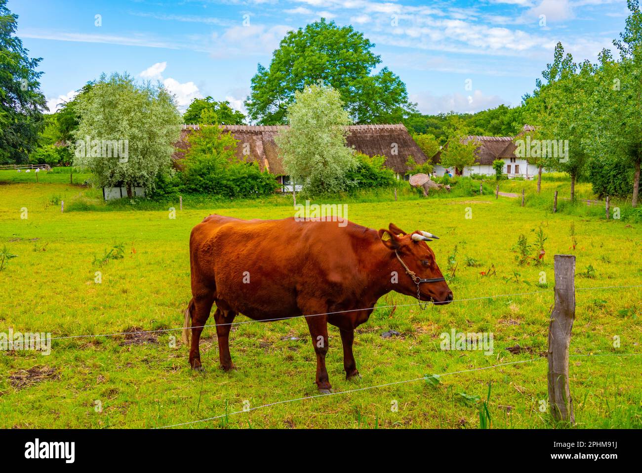 Den Fynske Landsby open-air museum with traditional Danish architecture ...