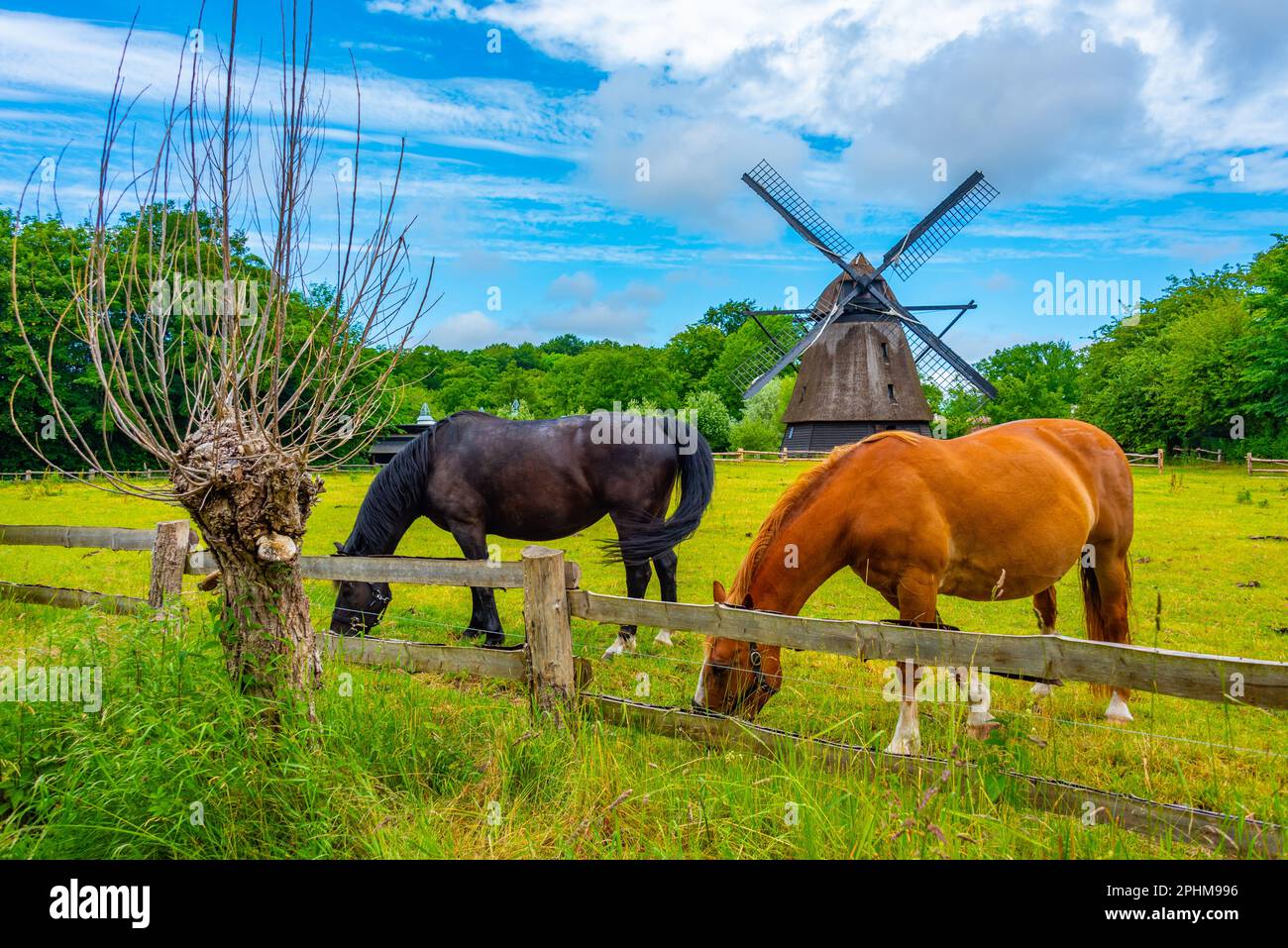 Windmill at Den Fynske Landsby open-air museum with traditional Danish ...