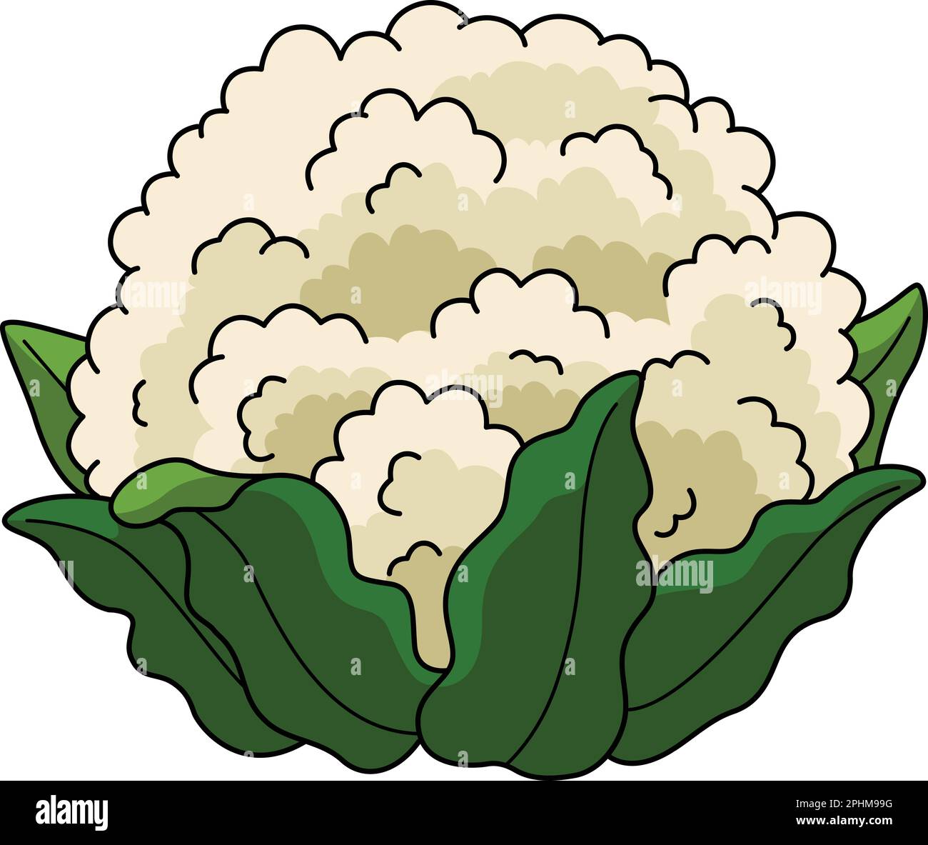 Vegetable cartoon cauliflower Cut Out Stock Images & Pictures - Alamy
