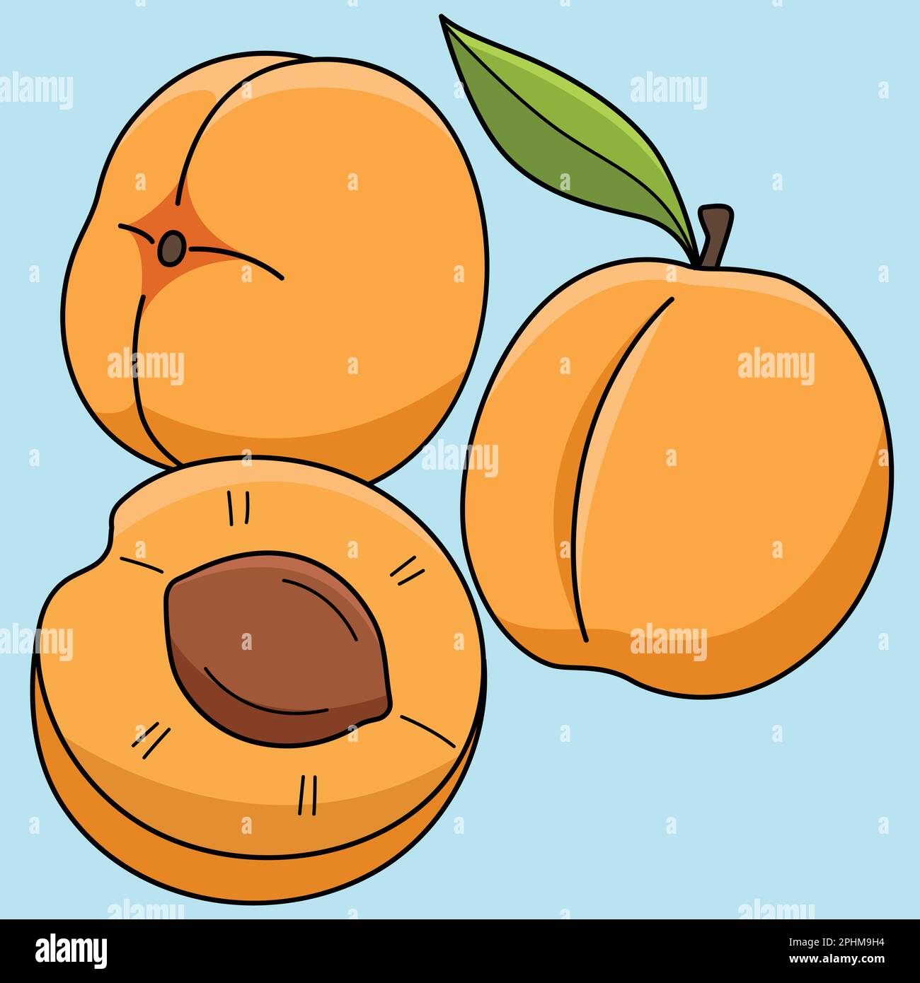 Apricot cartoon hi-res stock photography and images - Alamy