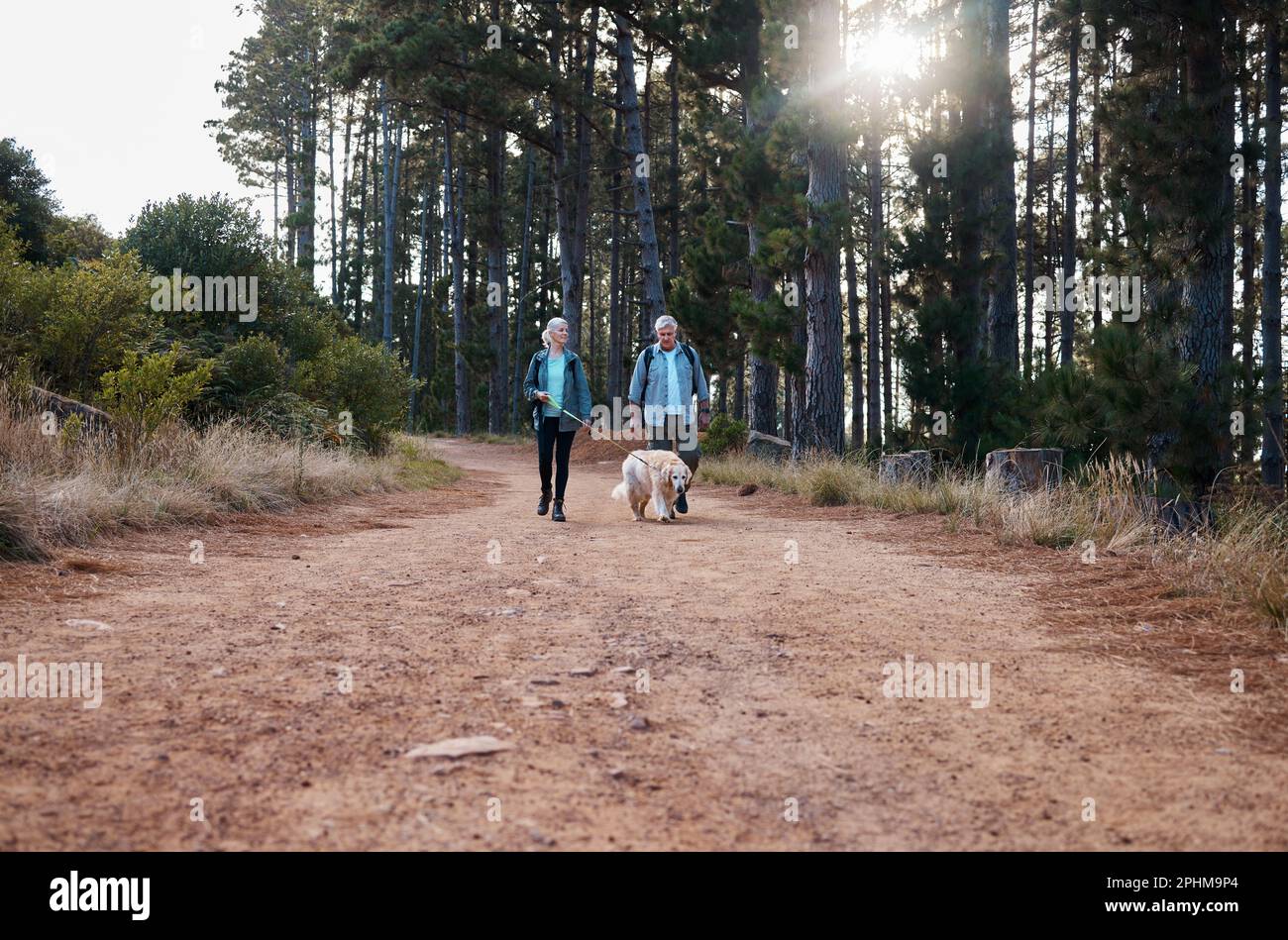 Forrest, hiking and old couple walking dog on path in mountain in ...