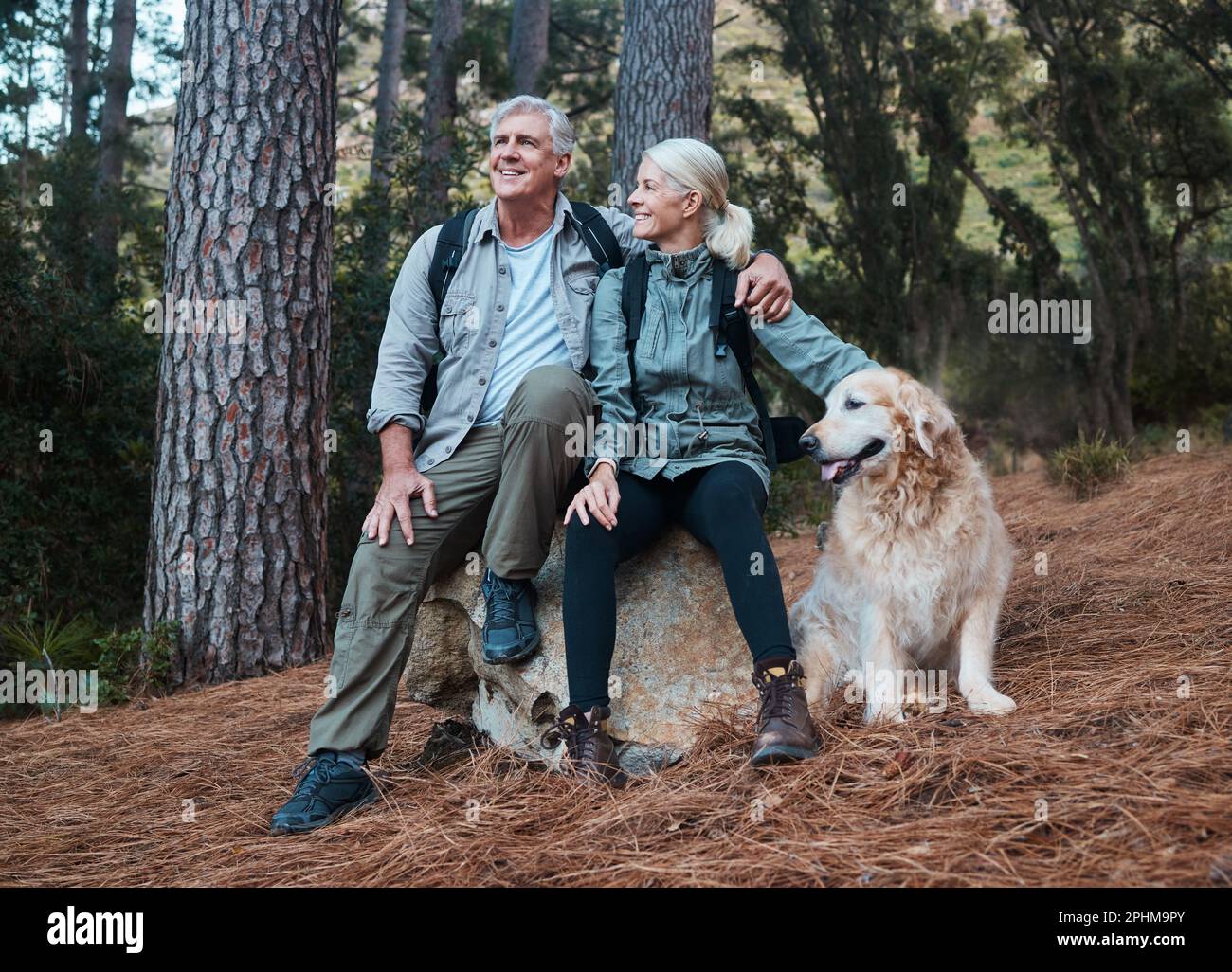 Forest, hiking and old couple with dog sitting on rock in mountains in ...