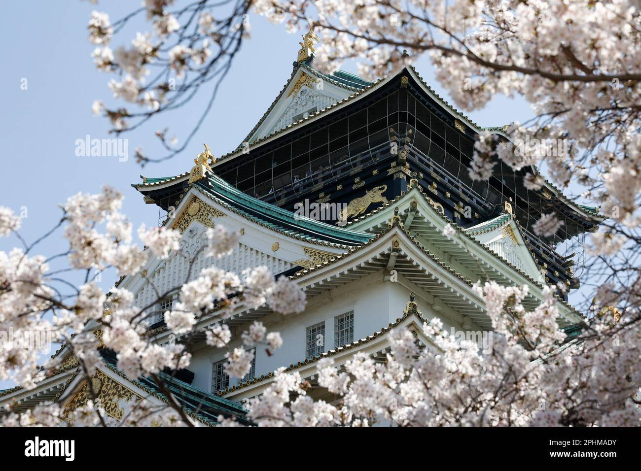 Osaka, Japan. March 28, 2023, Cherry blossoms in full bloom are seen at ...
