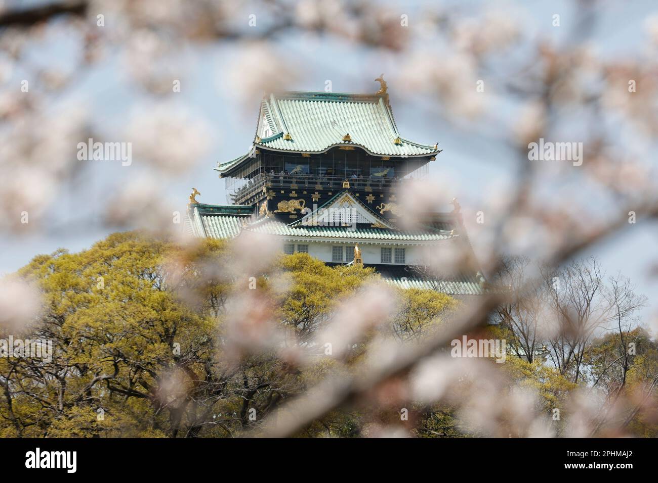 Osaka, Japan. March 28, 2023, Cherry blossoms in full bloom are seen at ...
