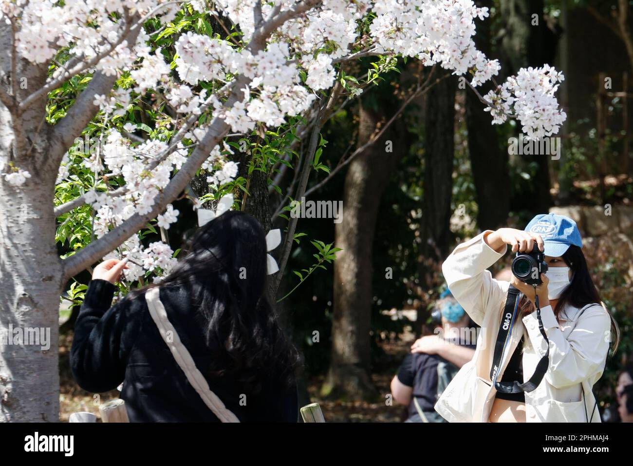 Osaka, Japan. March 28, 2023, People enjoy taking pictures with the ...