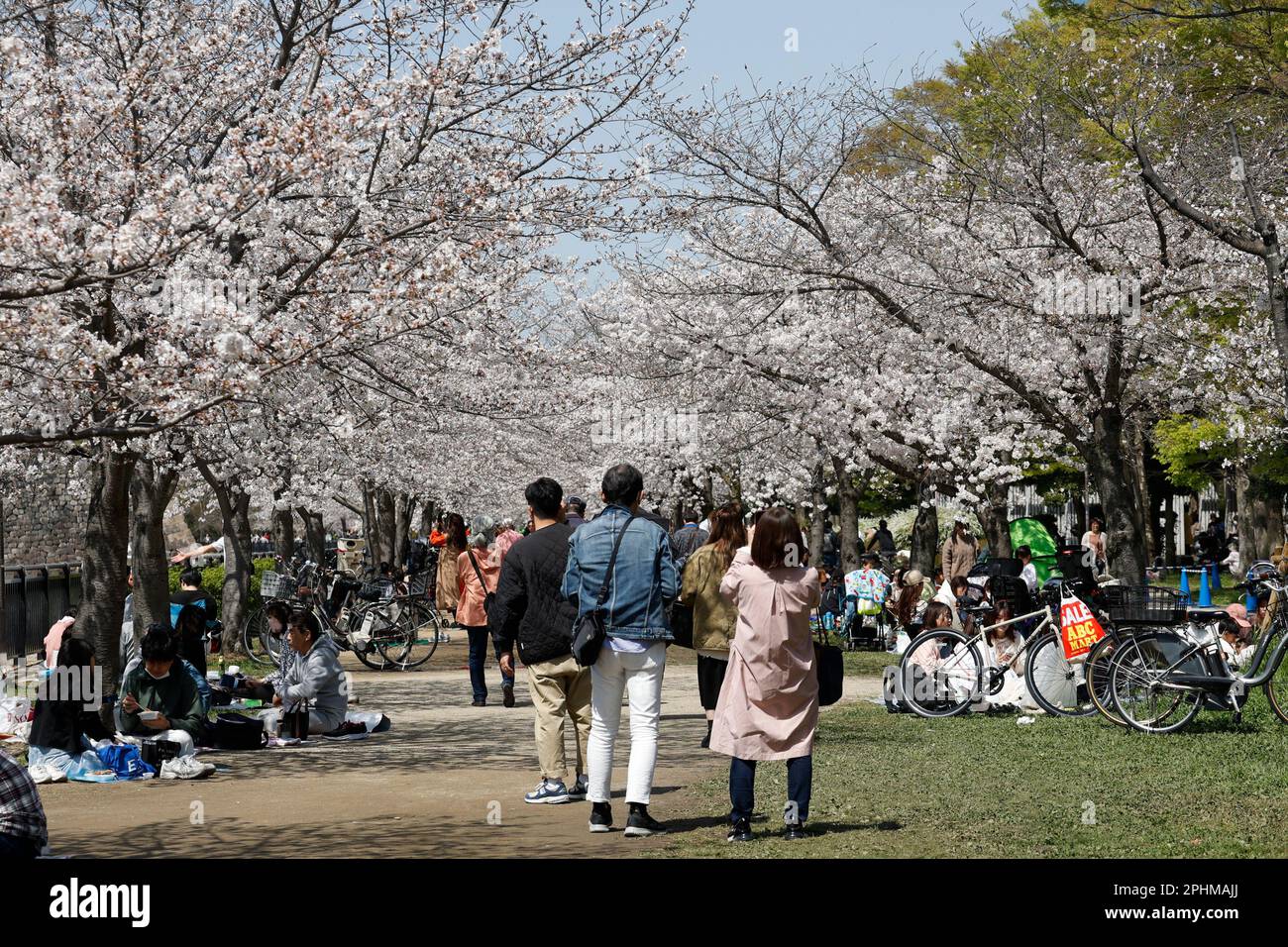 Osaka, Japan. March 28, 2023, People gather at Osaka Castle Park's ...