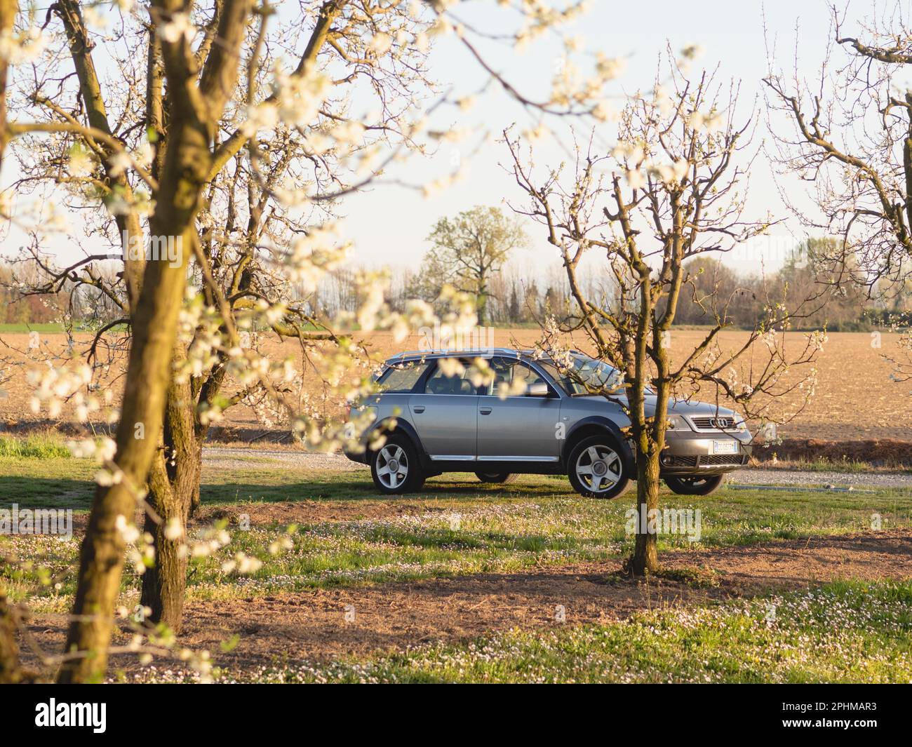 Busseto, Italy - March 2023 Audi Allroad a6 4x4 crossover legacy suv ...