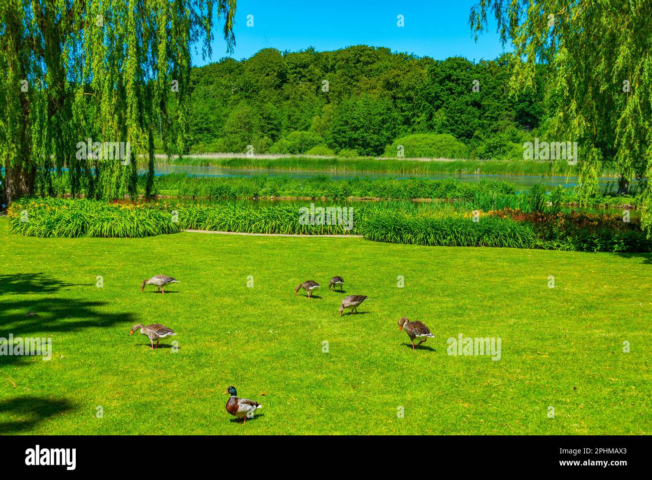 Green gardens at Grasten Palace in Denmark Stock Photo - Alamy