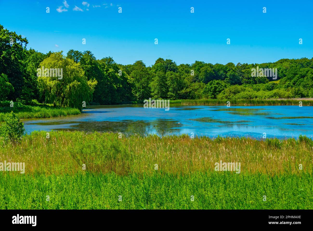 Green gardens at Grasten Palace in Denmark Stock Photo - Alamy
