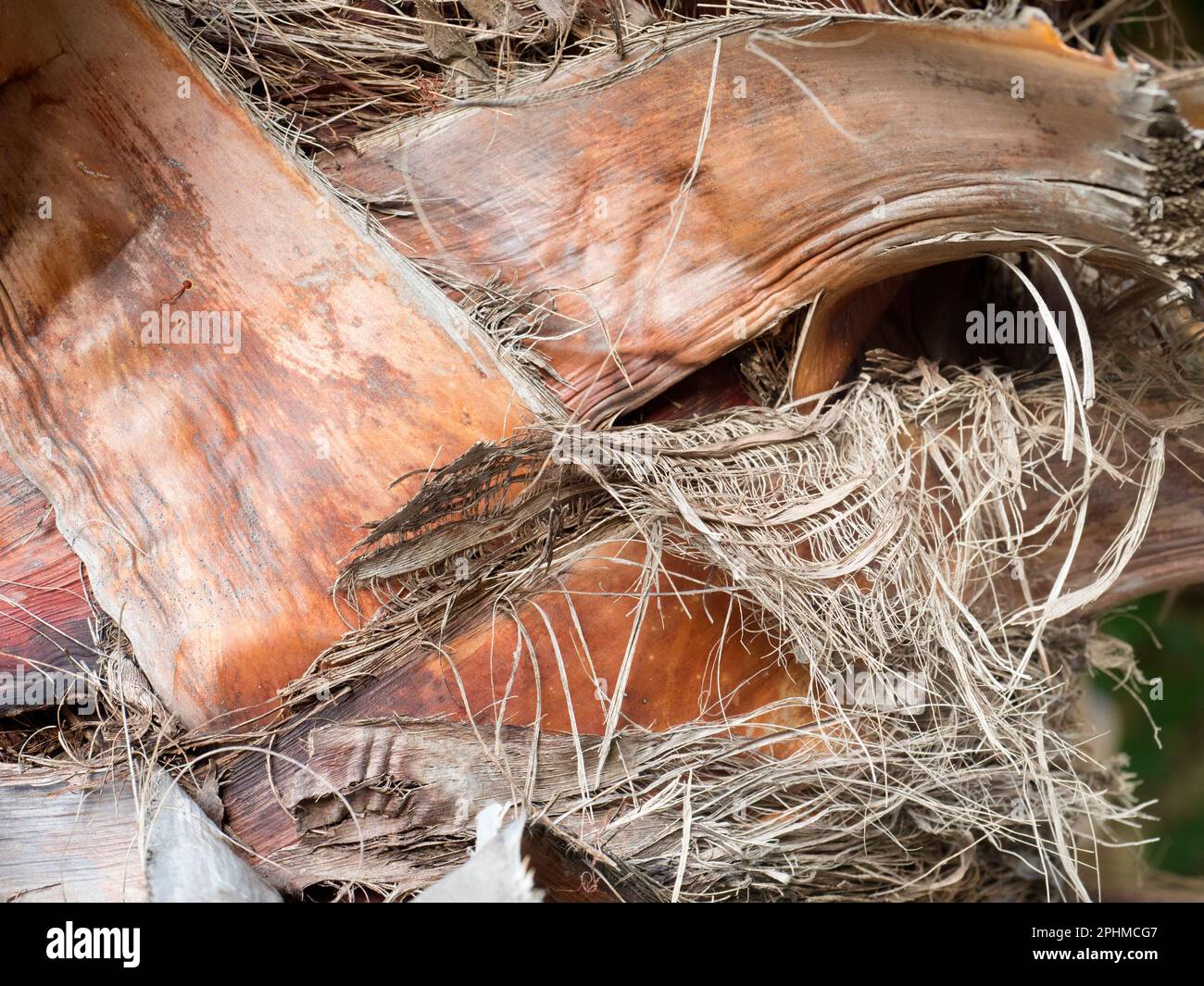 Due to its subtropical climate, diverse topography and many ...