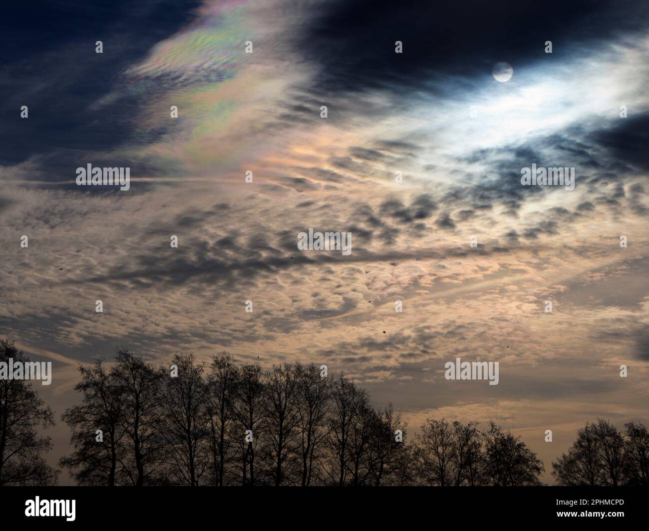 Why don't people look at the skies more often? Every sky vista is ...