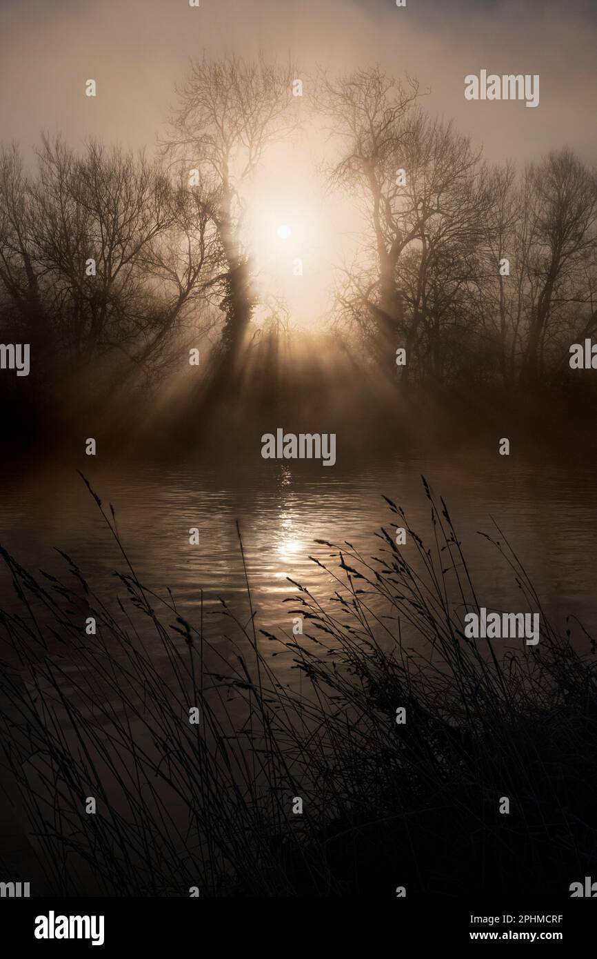 A misty and startlingly beautiful winter sunrise bursts out from behind ...