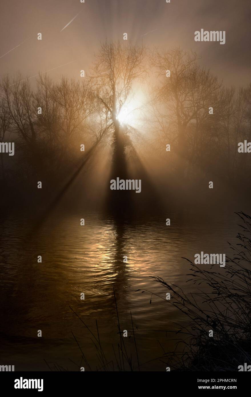 Dream likesunbeams hi-res stock photography and images - Alamy