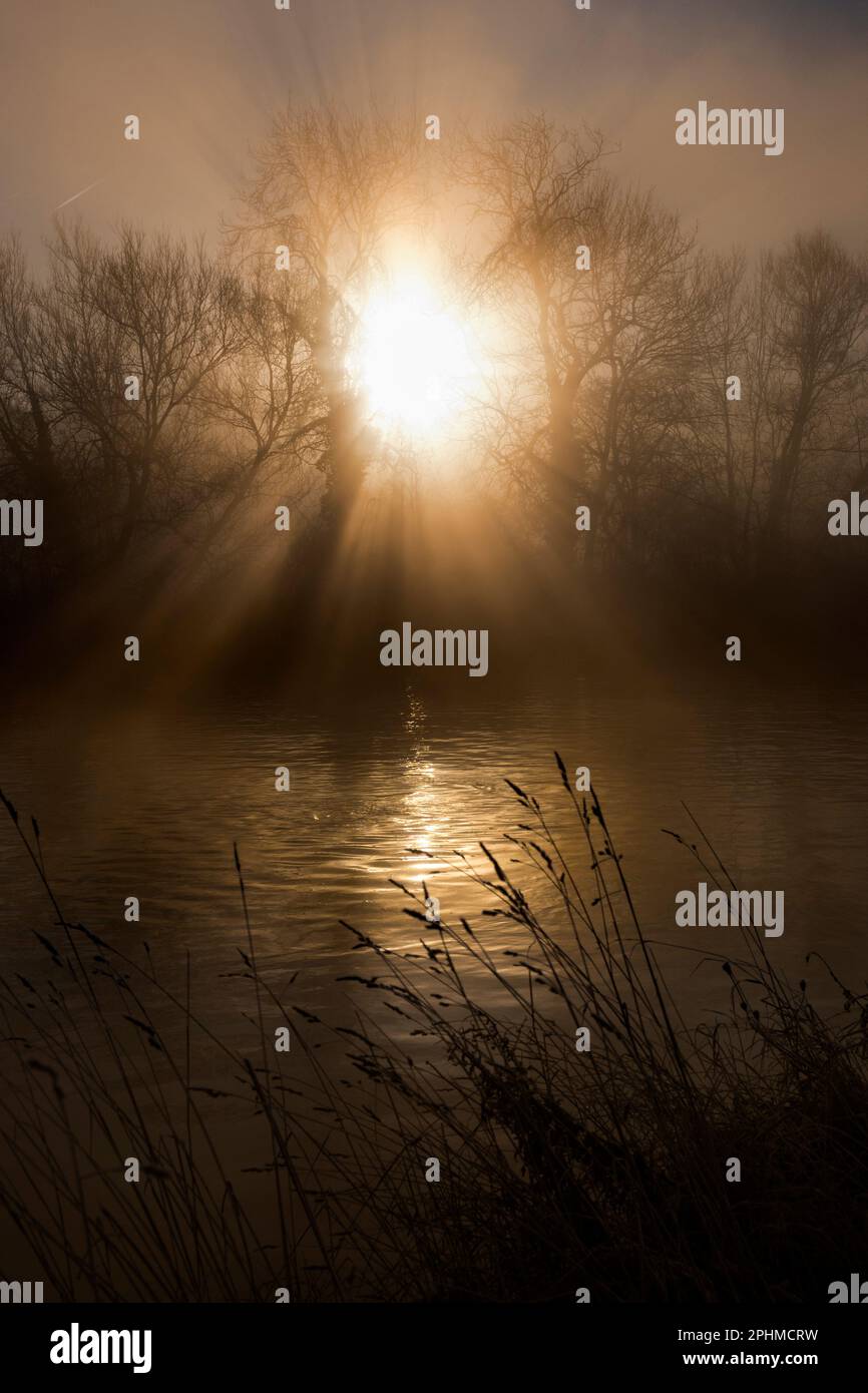 A misty and startlingly beautiful winter sunrise bursts out from behind ...