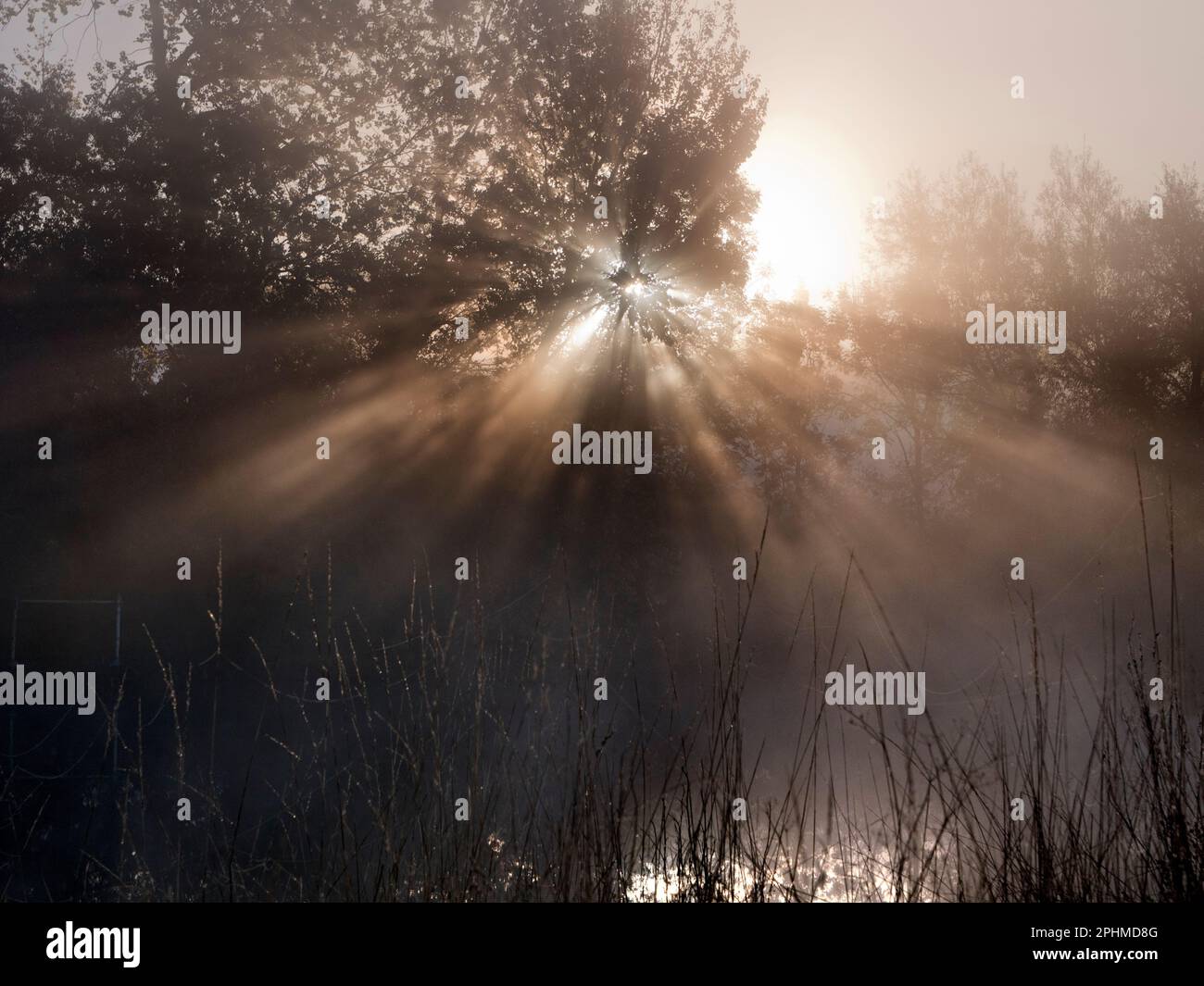 A misty Autumn but startlingly beautiful sunrise bursts out behind the ...