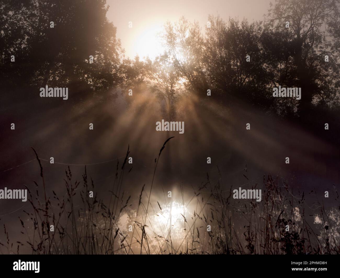 A misty Autumn but startlingly beautiful sunrise bursts out behind the ...