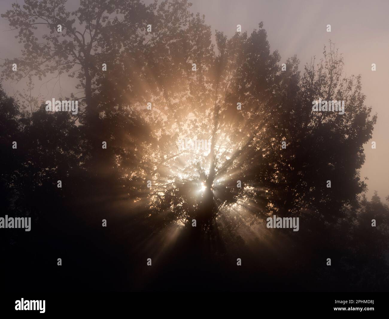 A misty Autumn but startlingly beautiful sunrise bursts out behind the ...