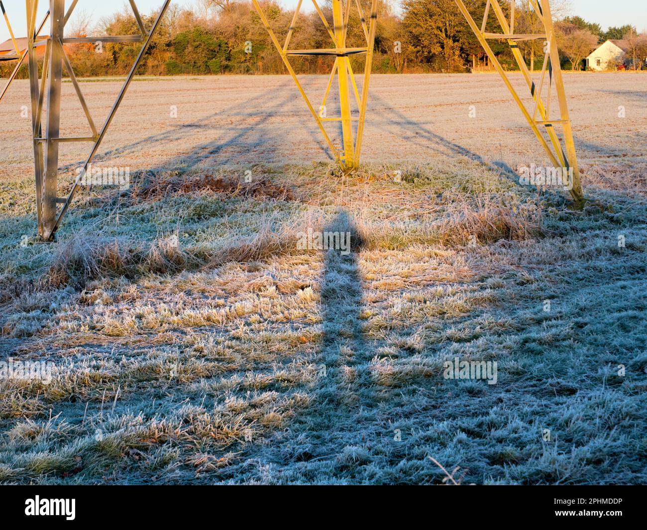I love electricity pylons; I find their abstract, gaunt shapes ...